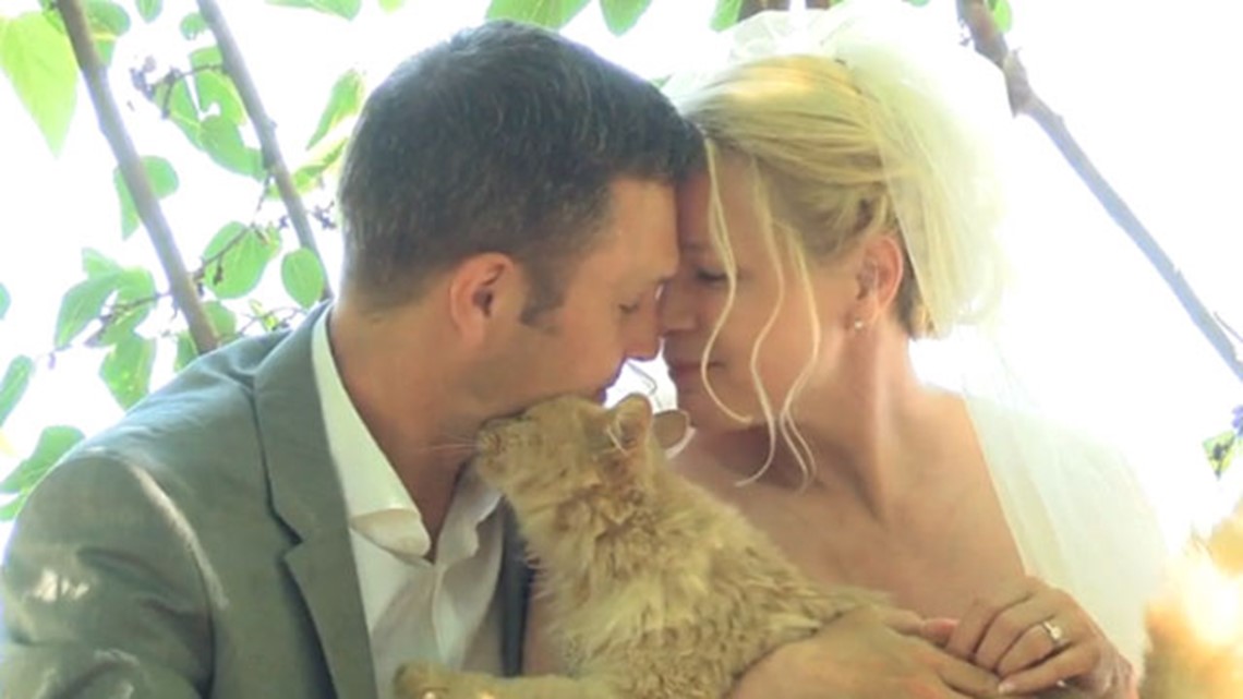 Meow! Couple weds alongside 1,100 cats | wthr.com