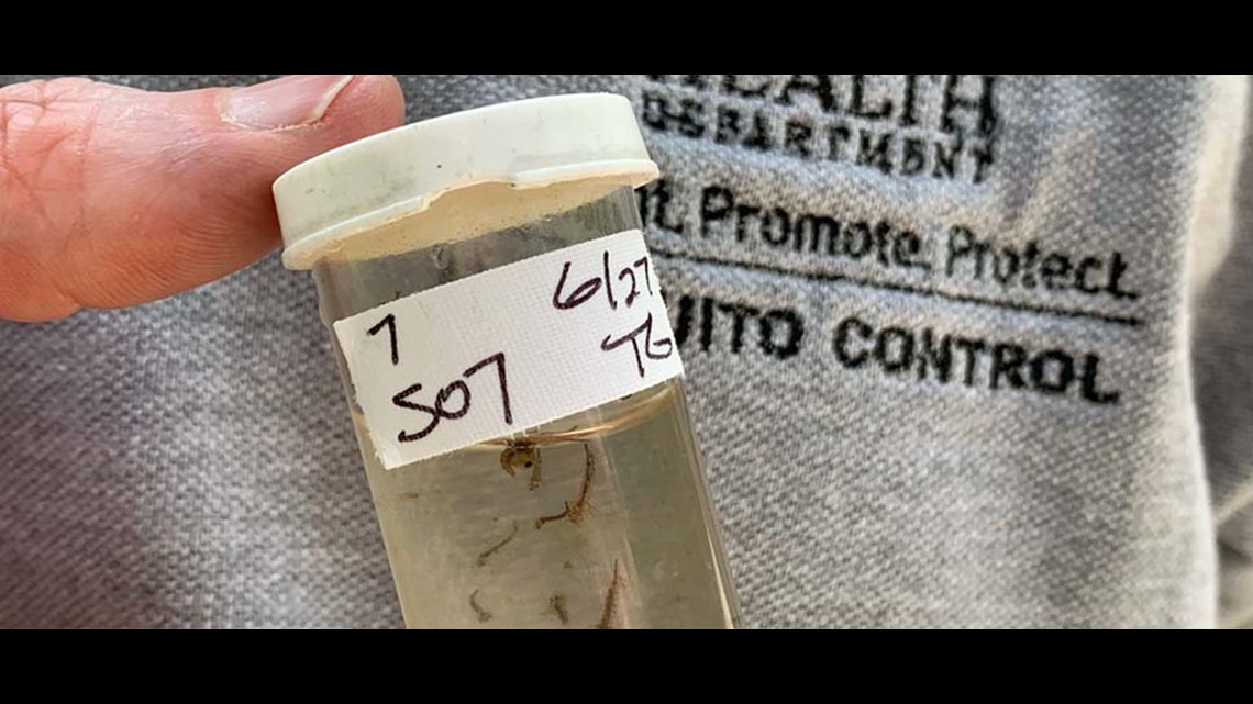 Mosquito population exploding with warm wet weather | wthr.com