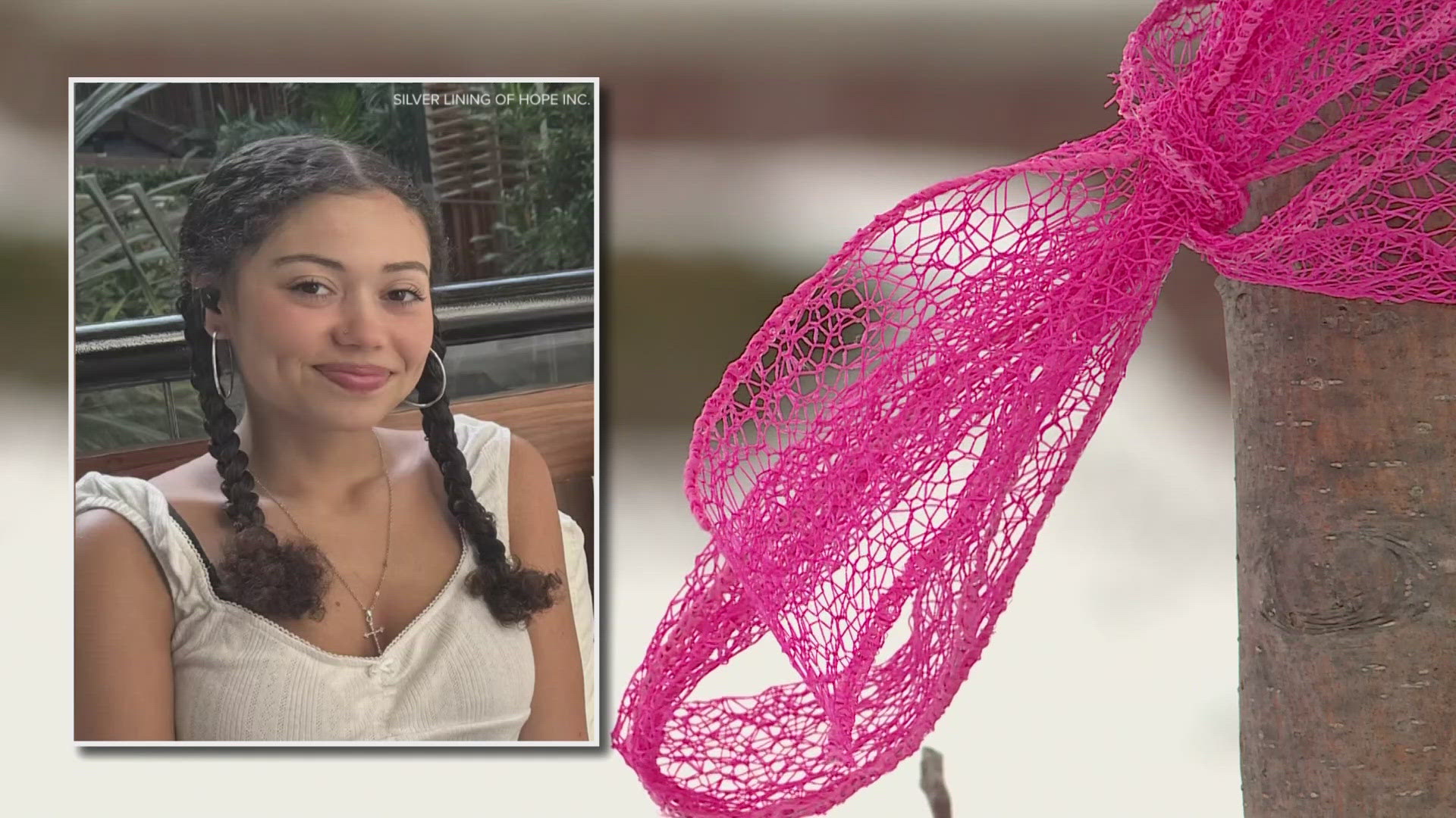 Pink ribbons honor memory of Hailey Buzbee in Fishers | wthr.com