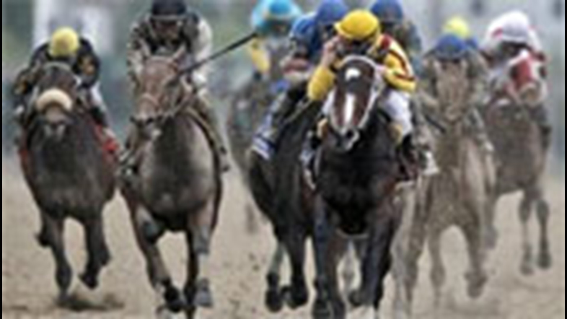 Rachel Alexandra wins Preakness Stakes | wthr.com