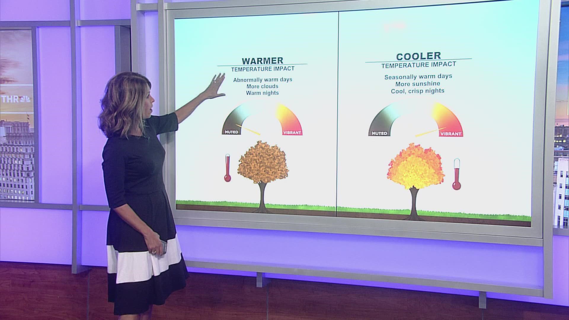 Indiana fall foliage peak: When leaves change color on average | wthr.com