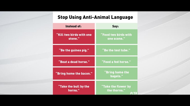 'Feed 2 birds with 1 scone': PETA offers tips to eliminate 'anti-animal ...