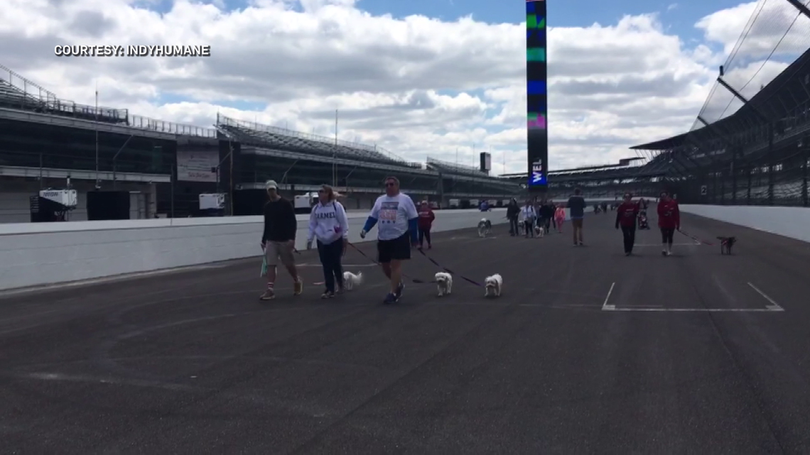 IndyHumane hosting 'Mutt Strut' Saturday at Victory Field | wthr.com