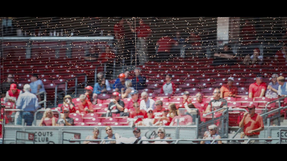 Buzzed: Swarm of bees forces delay to Giants-Reds game | wthr.com