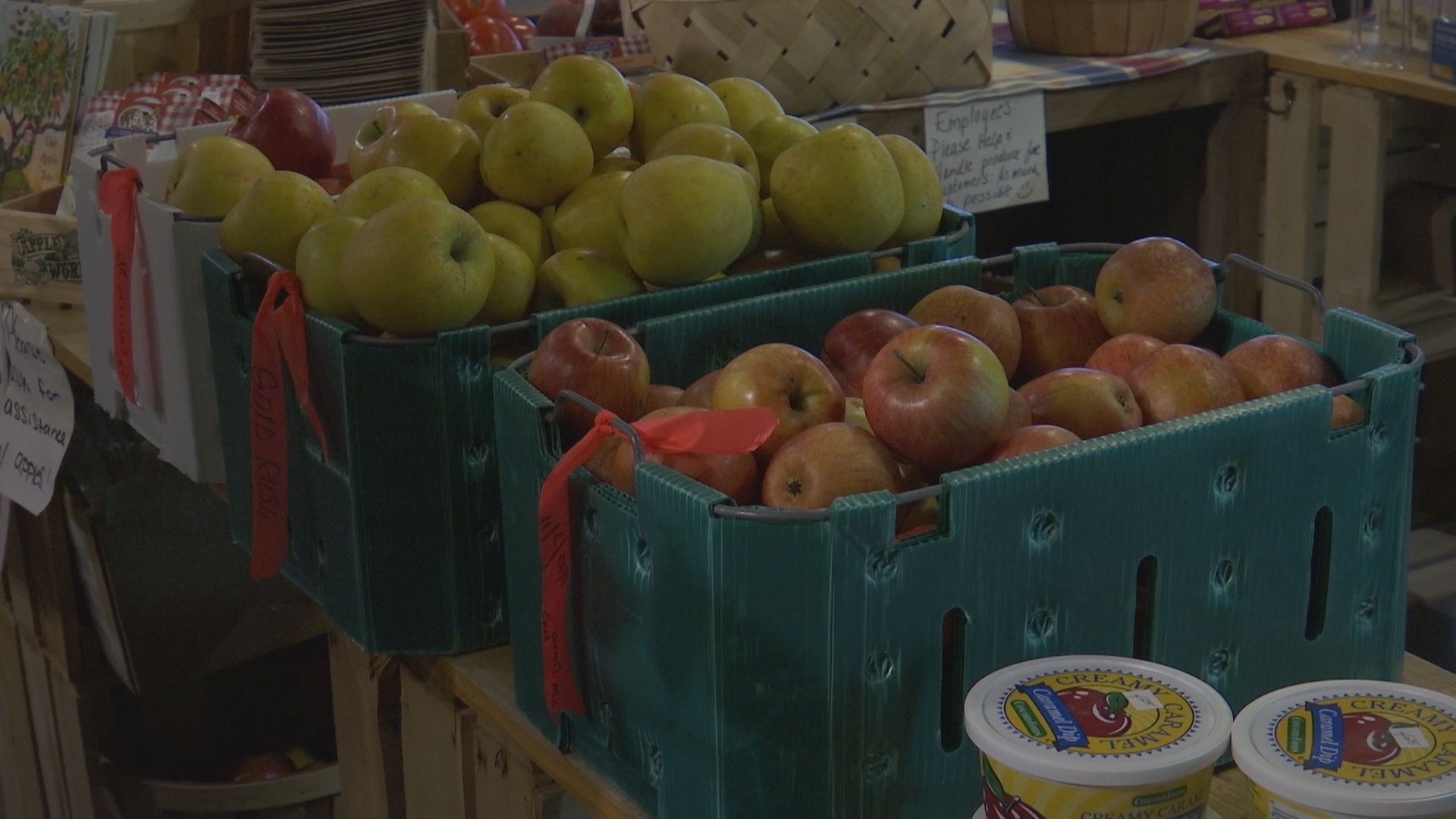 Retiring owners selling the Apple Works orchard in Trafalgar | wthr.com