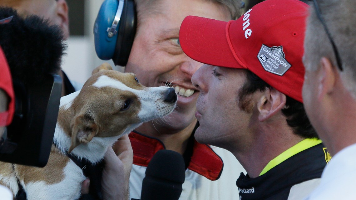 Fast Times, Four-legged Friends: Meet the dogs of IndyCar | wthr.com
