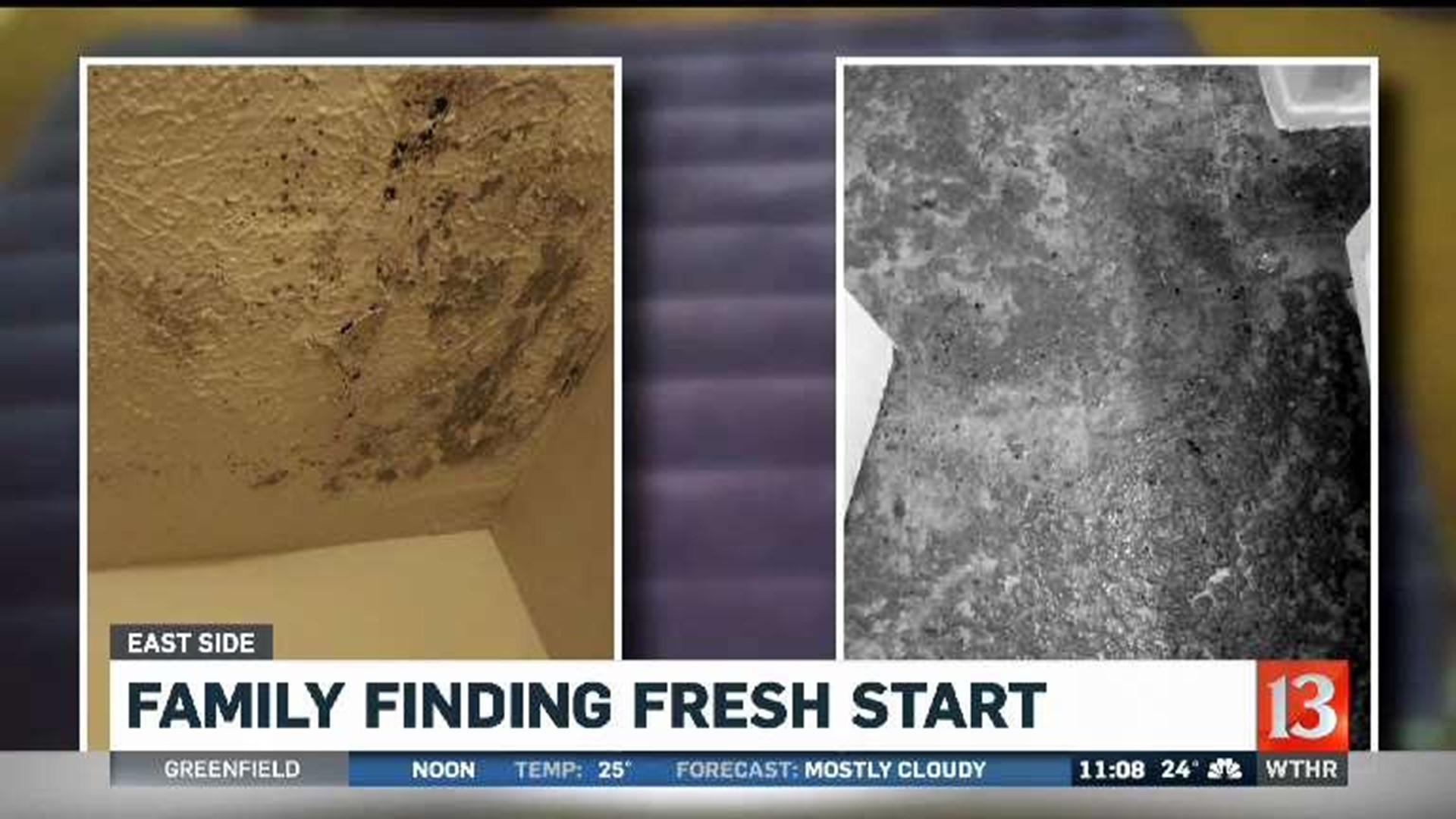 Woman says apartment's 'filthy' conditions forced her family into a ...