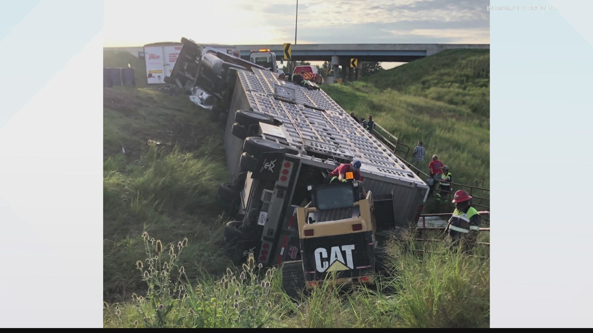 Six cows killed in Interstate 65 semi crash near downtown | wthr.com