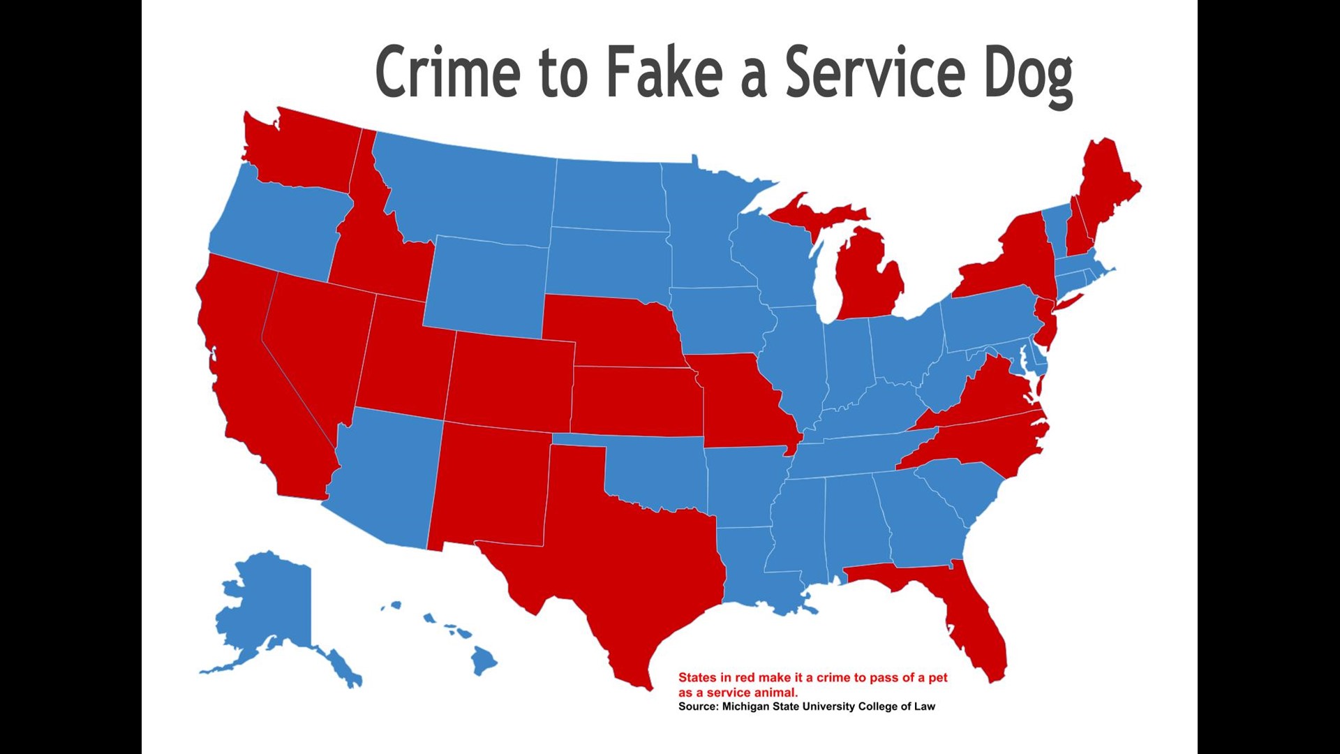 13 Investigates: Fake service animals, real problems | wthr.com