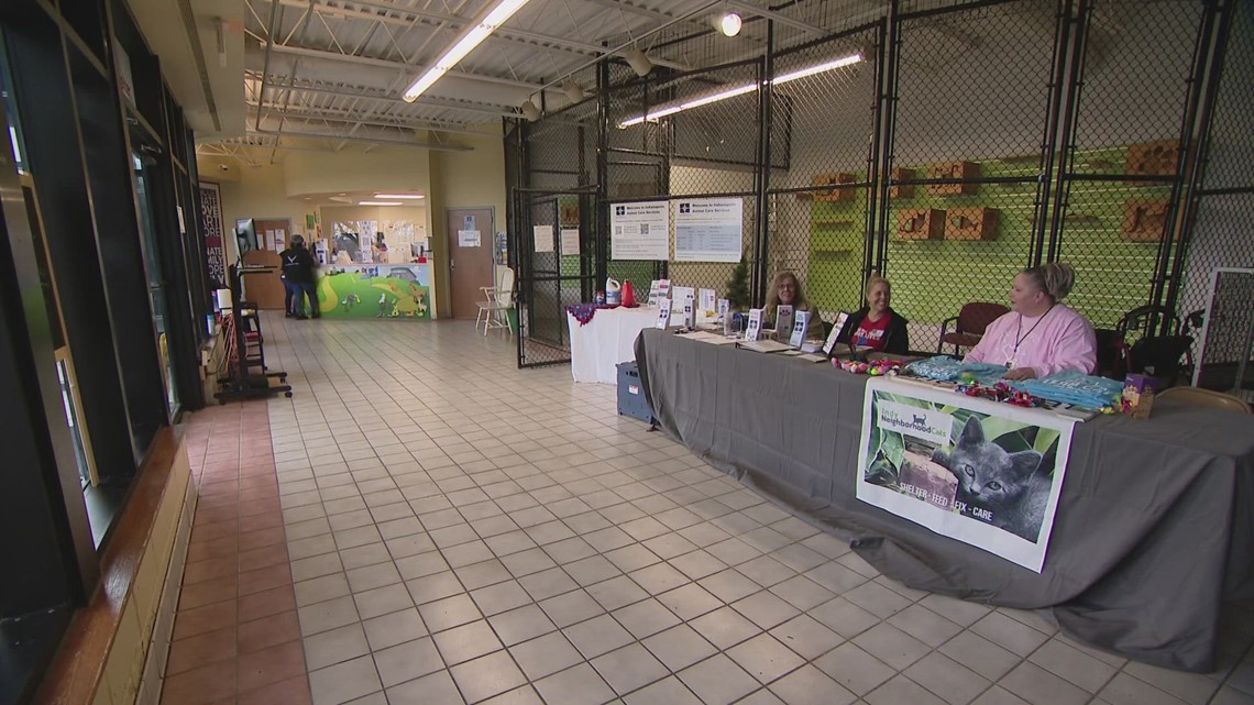 IACS resuming animal intake and adoptions after bacteria outbreak ...