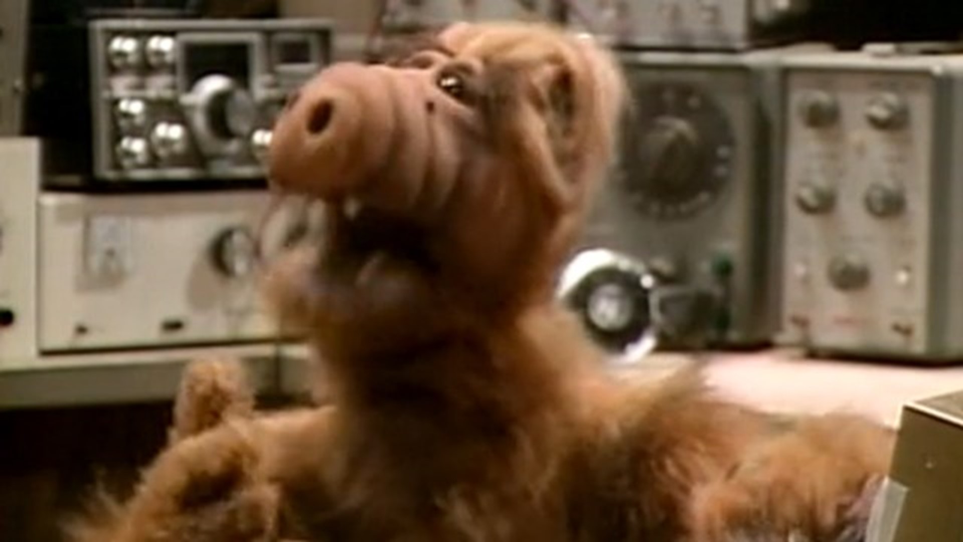 Michu Meszaros, actor who portrayed "ALF," dies at 76 | wthr.com