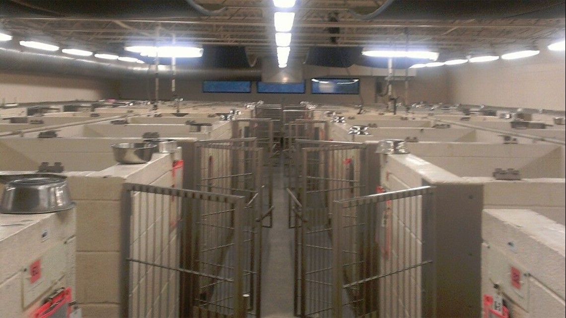 Indianapolis Animal Care and Control gets new director | wthr.com