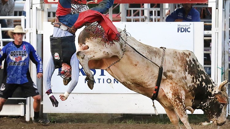 Bull riding may be 1st US professional sport to welcome fans | wthr.com