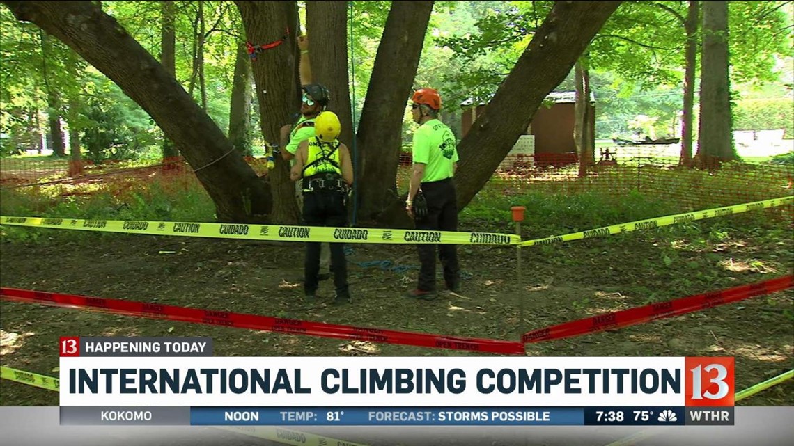 World's largest tree-climbing competition wraps up at Holliday Park ...