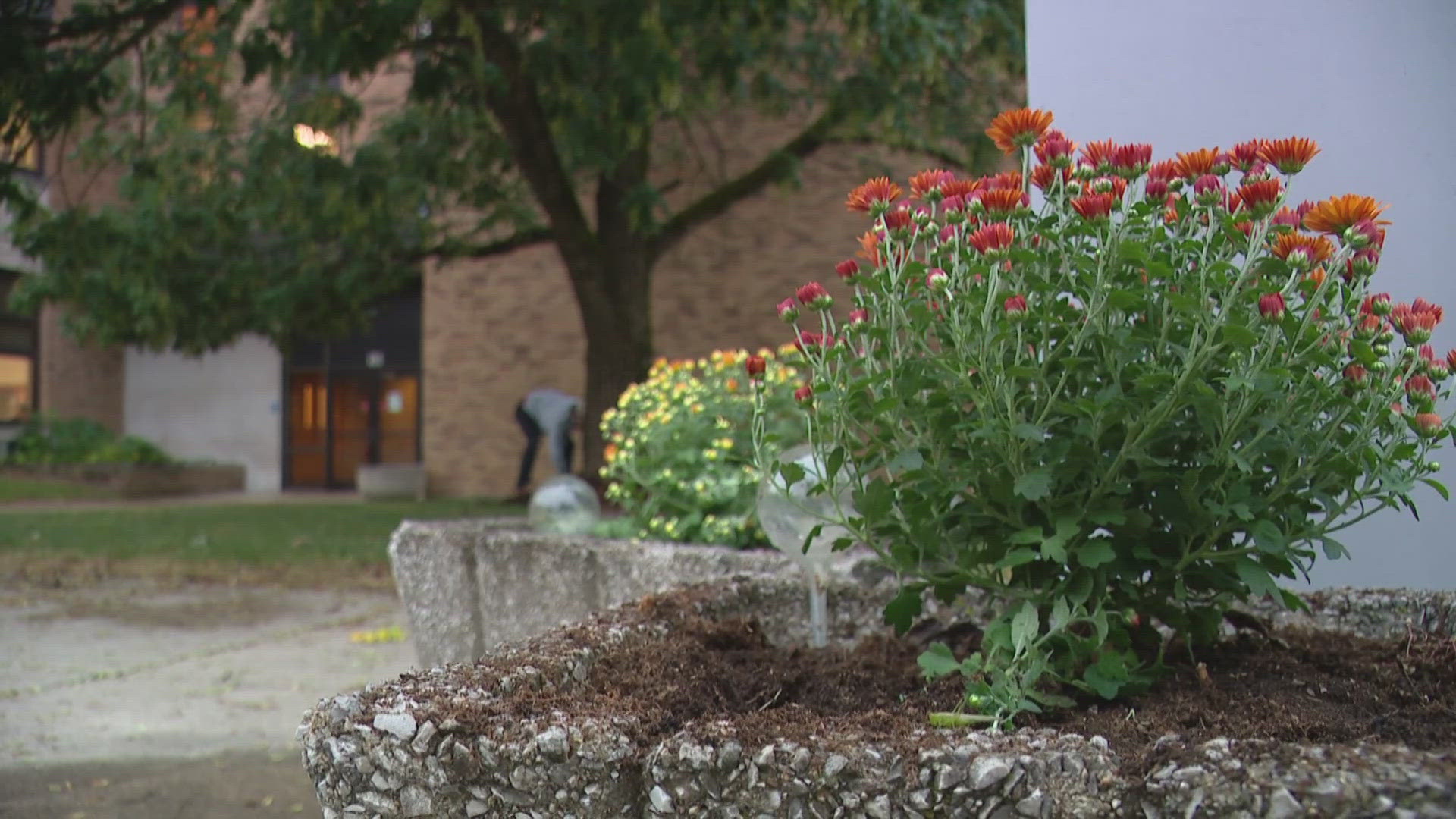 Eli Lilly's Global Day of Service helps clean up Broad Ripple Middle ...