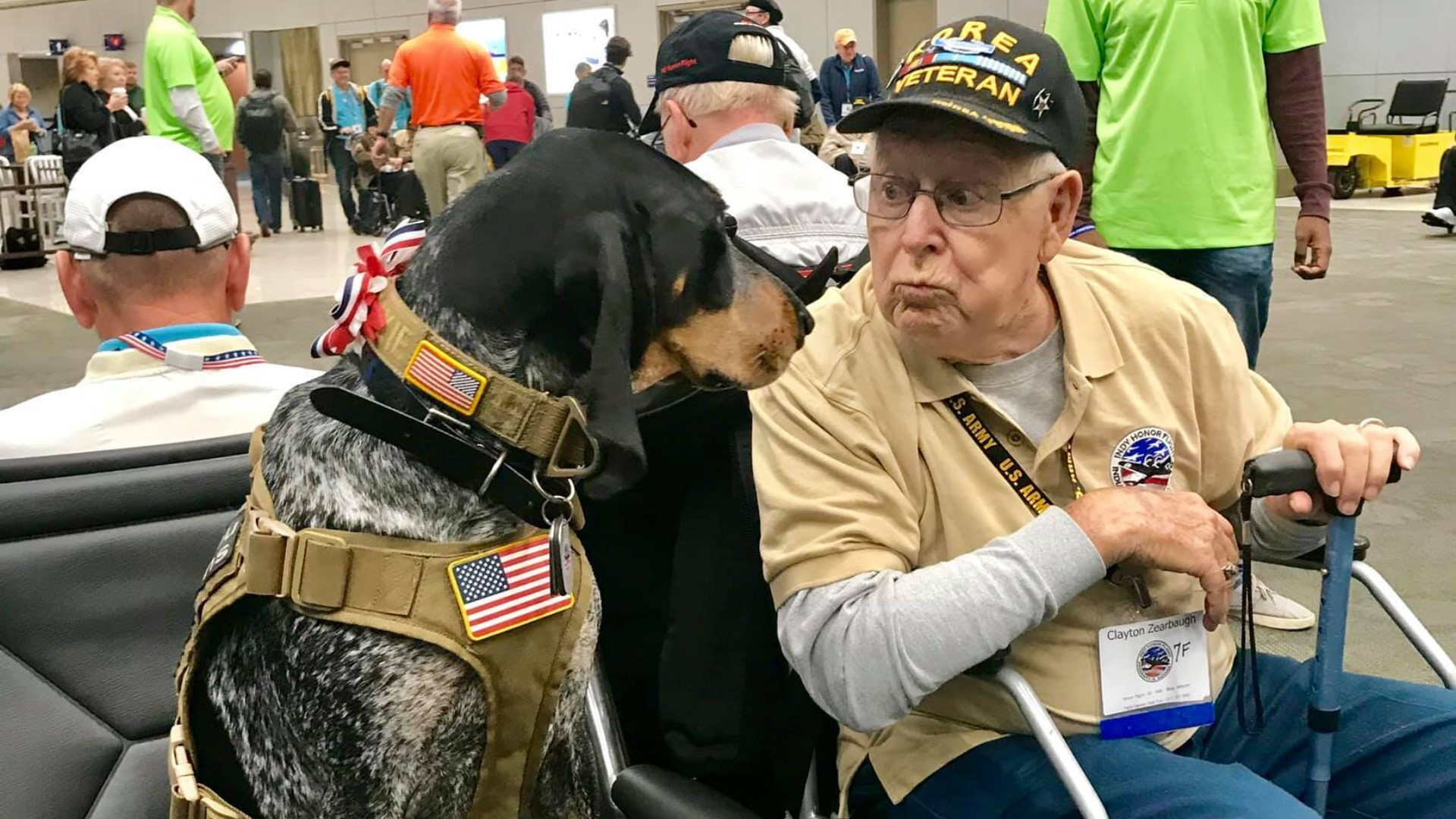 Dixie the 'Praying Dog' takes on new celebrity roles | wthr.com