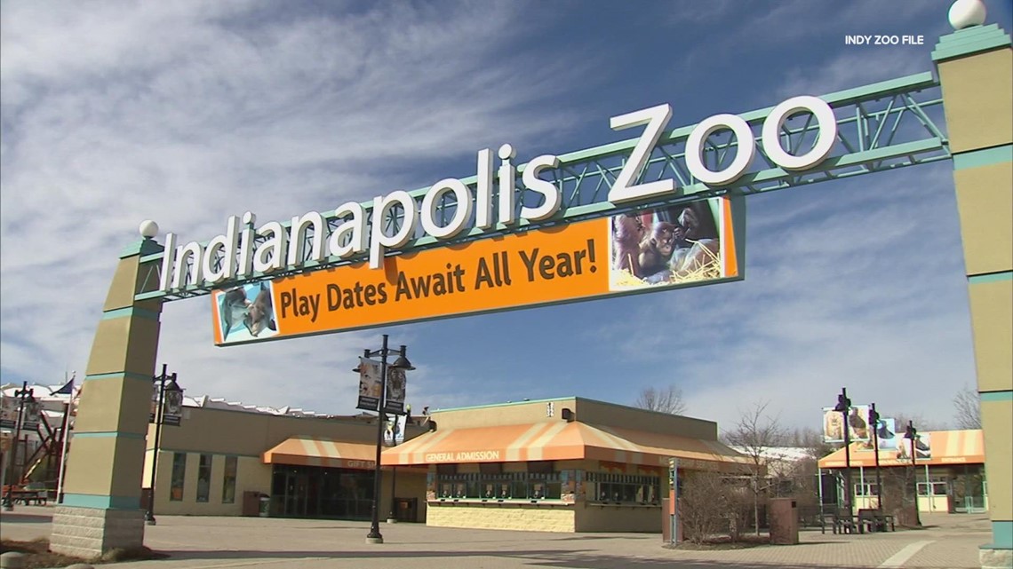 Indianapolis Zoo nominated Best Zoo in USA | wthr.com