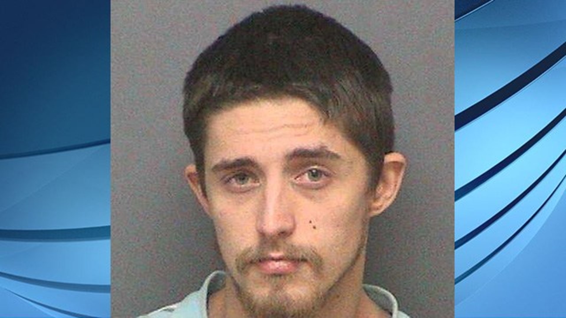 Camby man arrested after machete attack on pregnant girlfriend | wthr.com