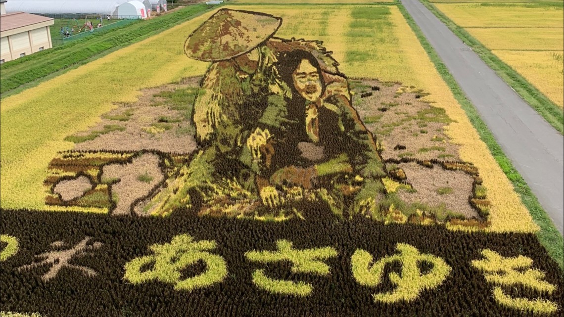 Japanese Rice Paddy Art | wthr.com