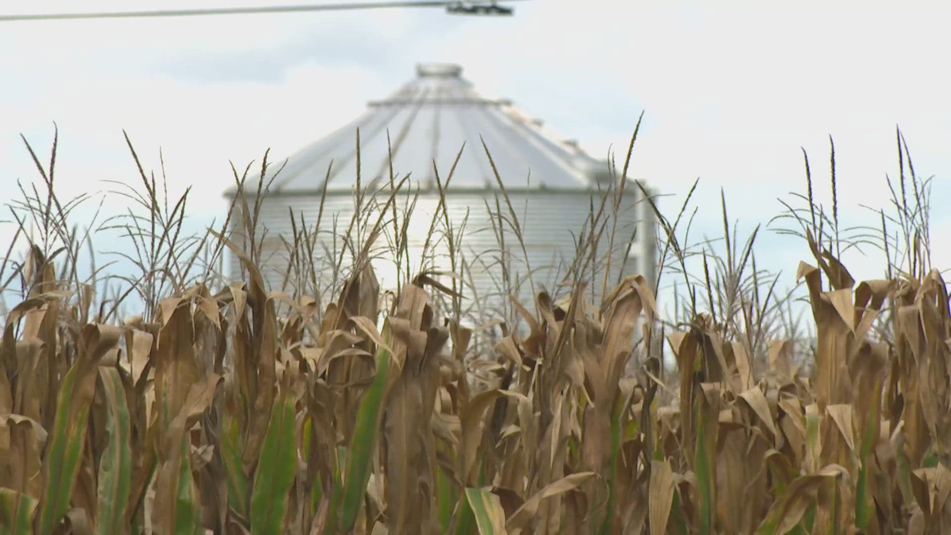 Indiana farmer still concerned about future despite state's deal with ...
