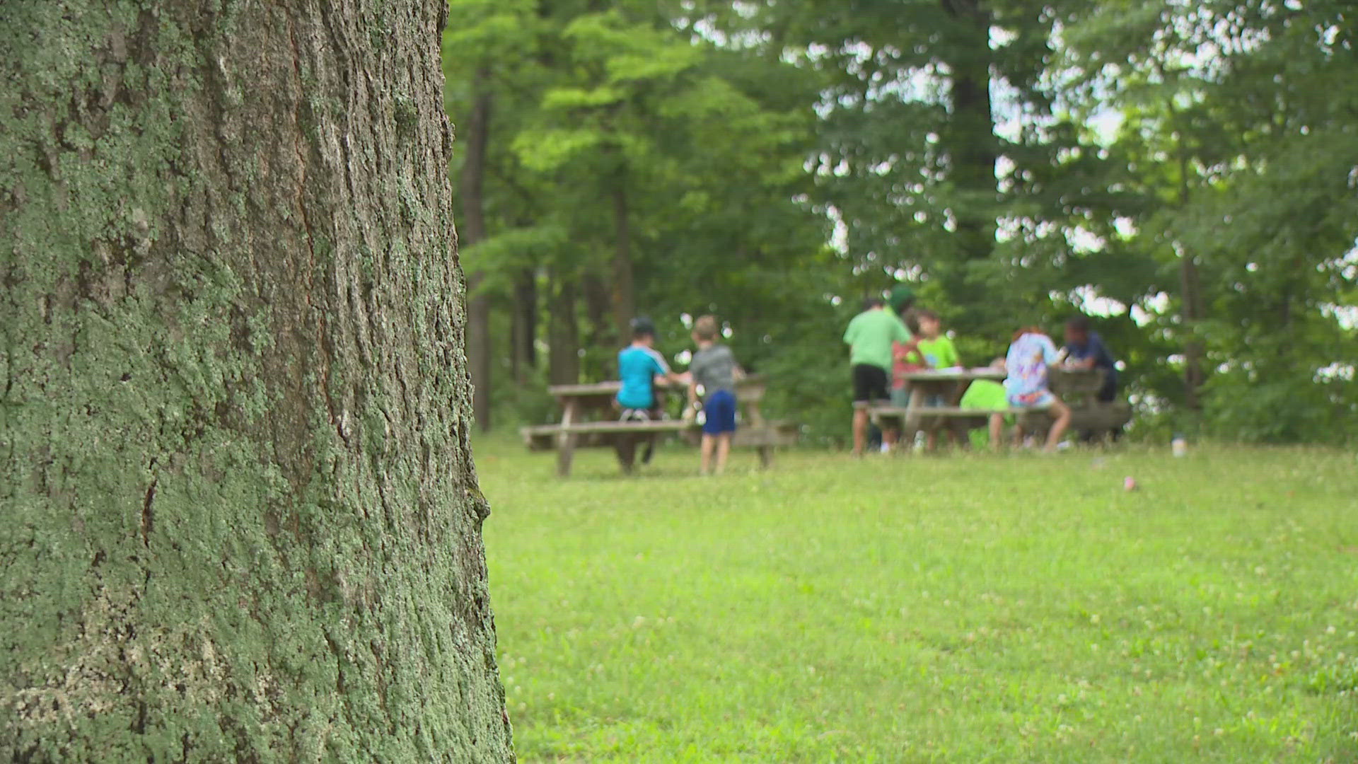 Two Indianapolis groups working to curb violence by connecting with ...