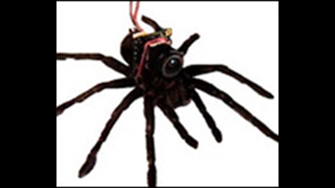 IMA to premier largest exhibition of video art by Sam Easterson | wthr.com