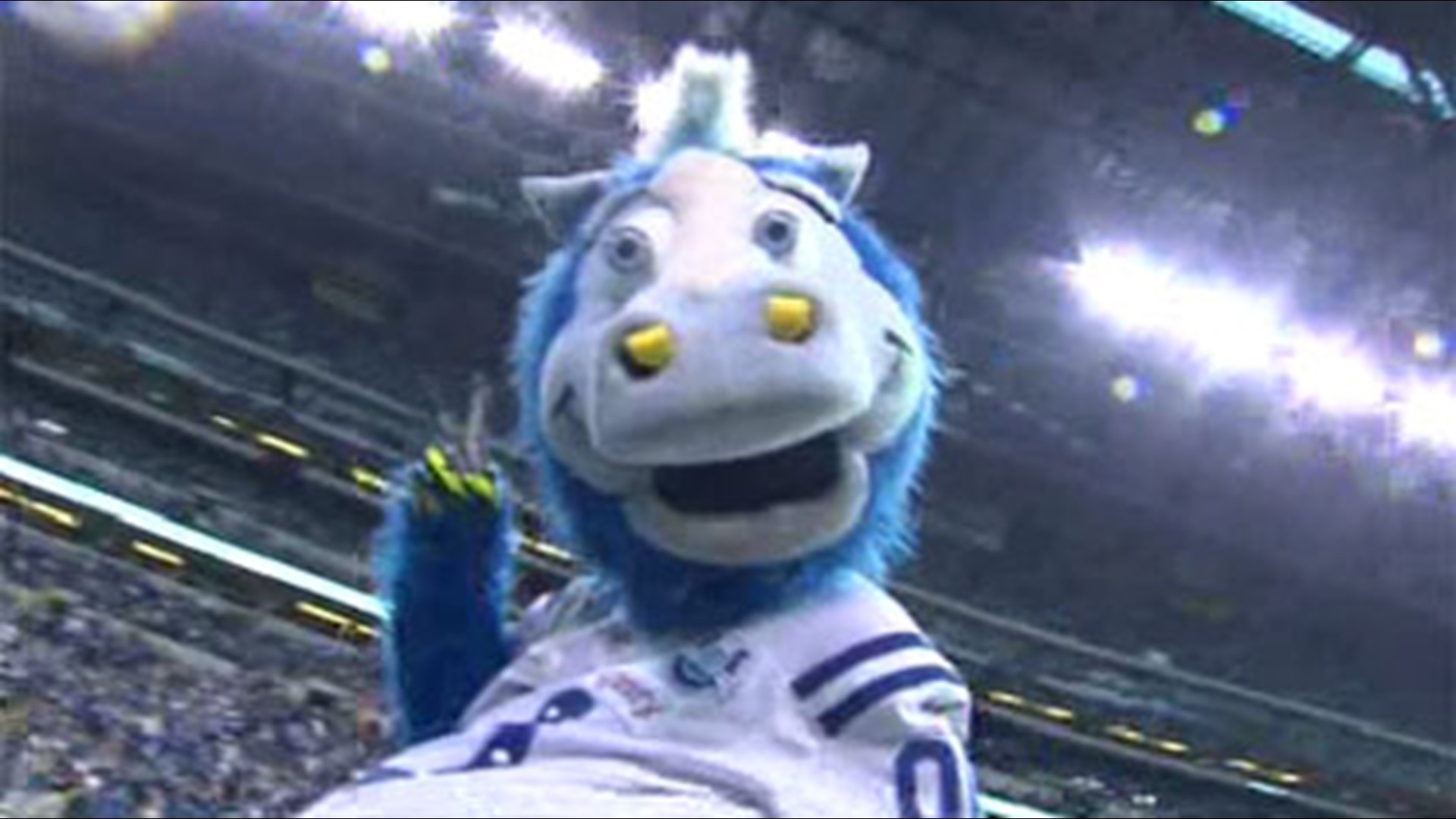 Being Blue: Meeting the man behind the Colts lovable mascot | wthr.com