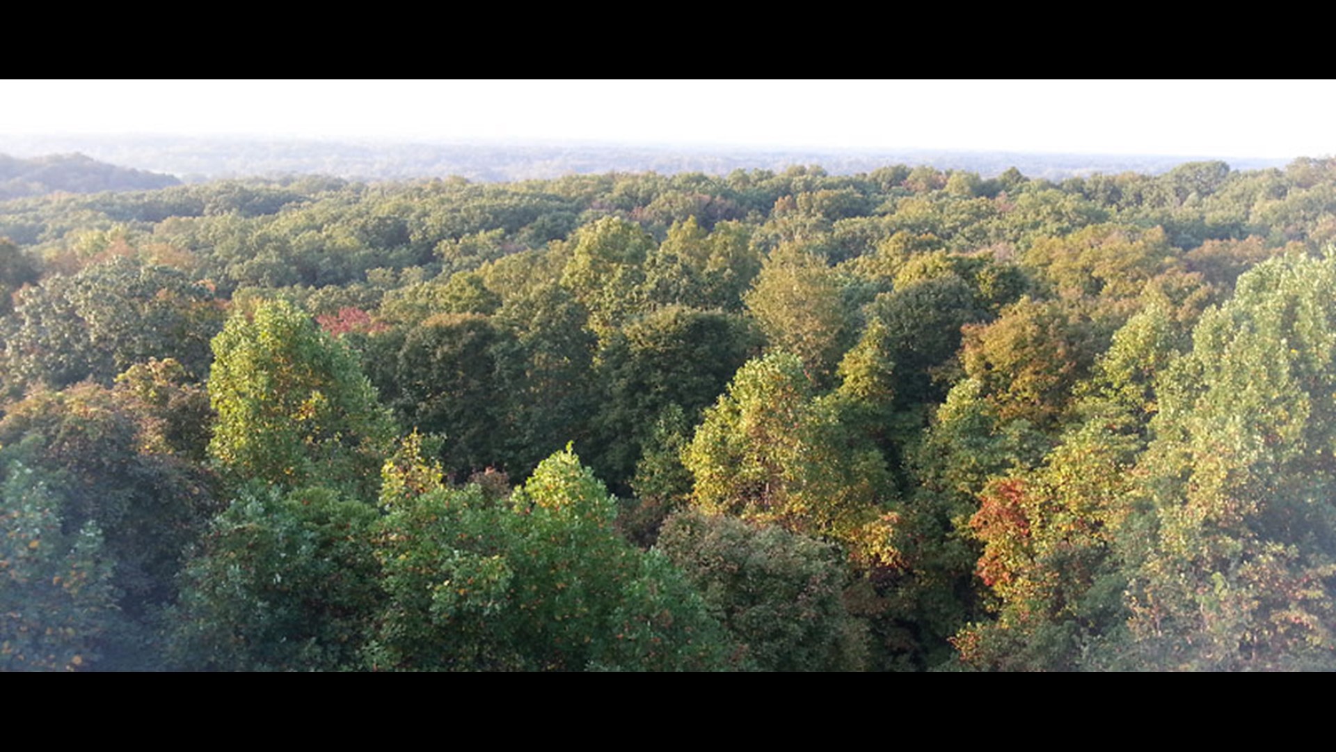 Brown County's Leaf Cam is up, but when will the leaves start to turn ...