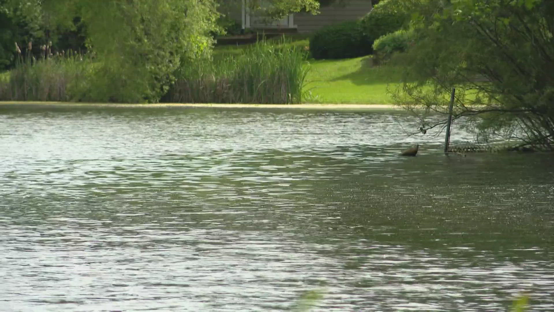 Coroner Identifies Man Who Was Pulled From Indianapolis Pond