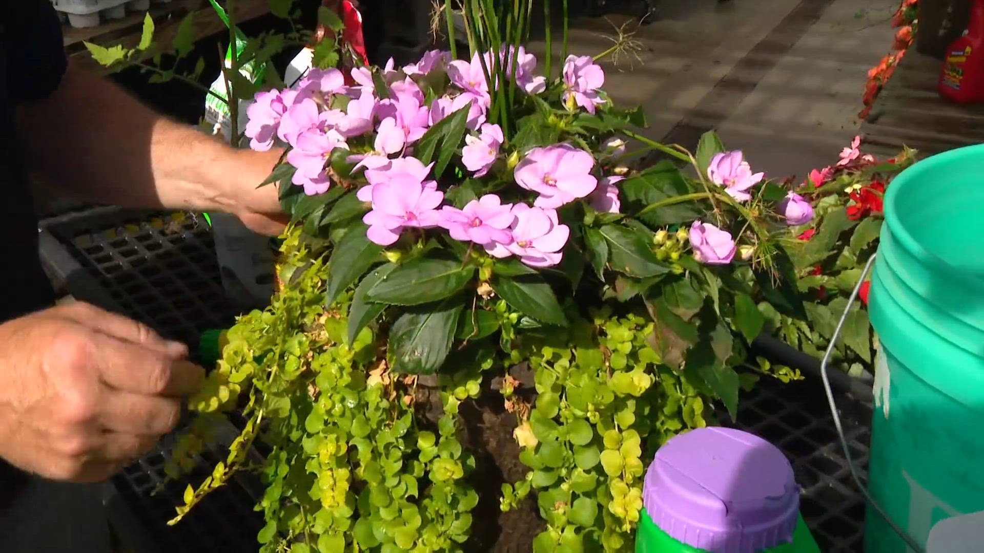 Pat Sullivan's tips for understanding different types of soil | wthr.com