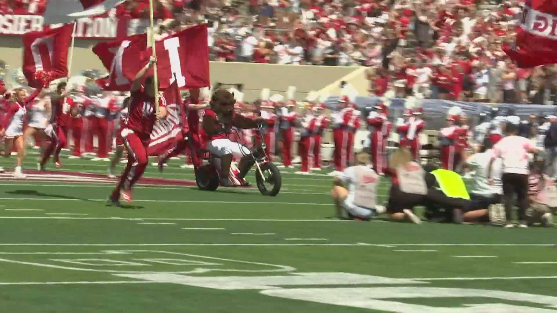Hoosier the Bison parachutes into stadium at Indiana University season ...