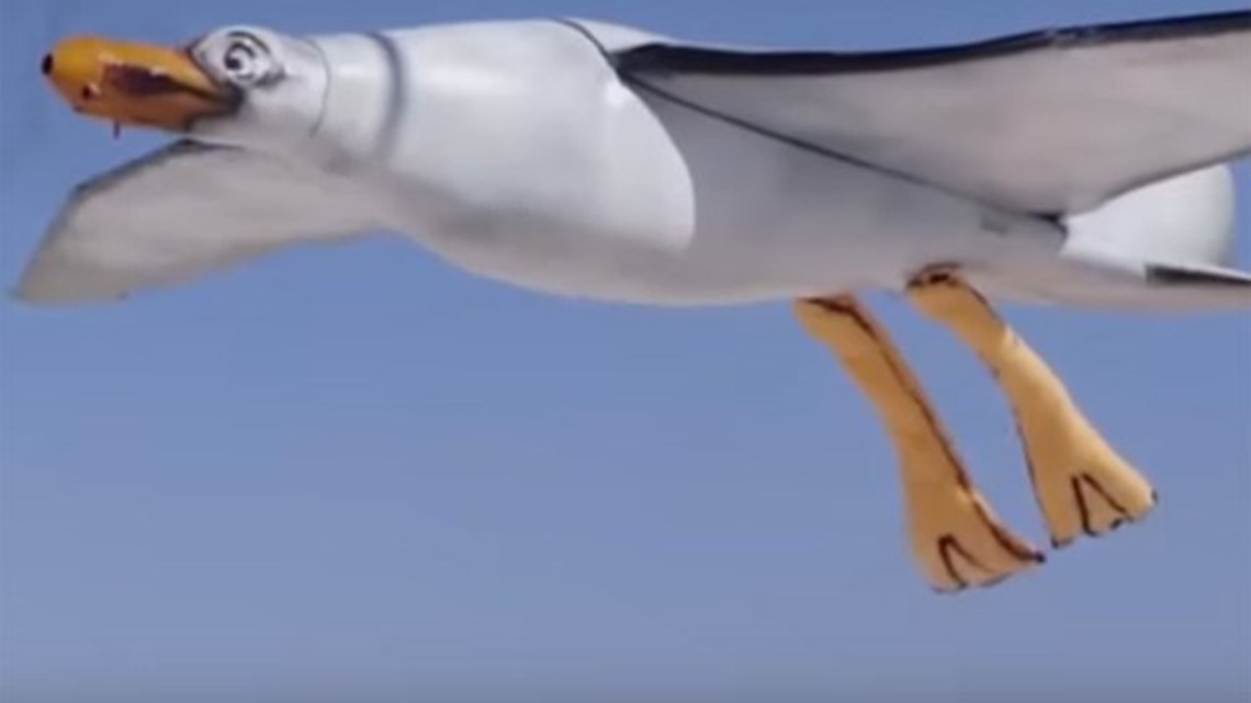 Look out! It's a sunscreen-pooping seagull! | wthr.com