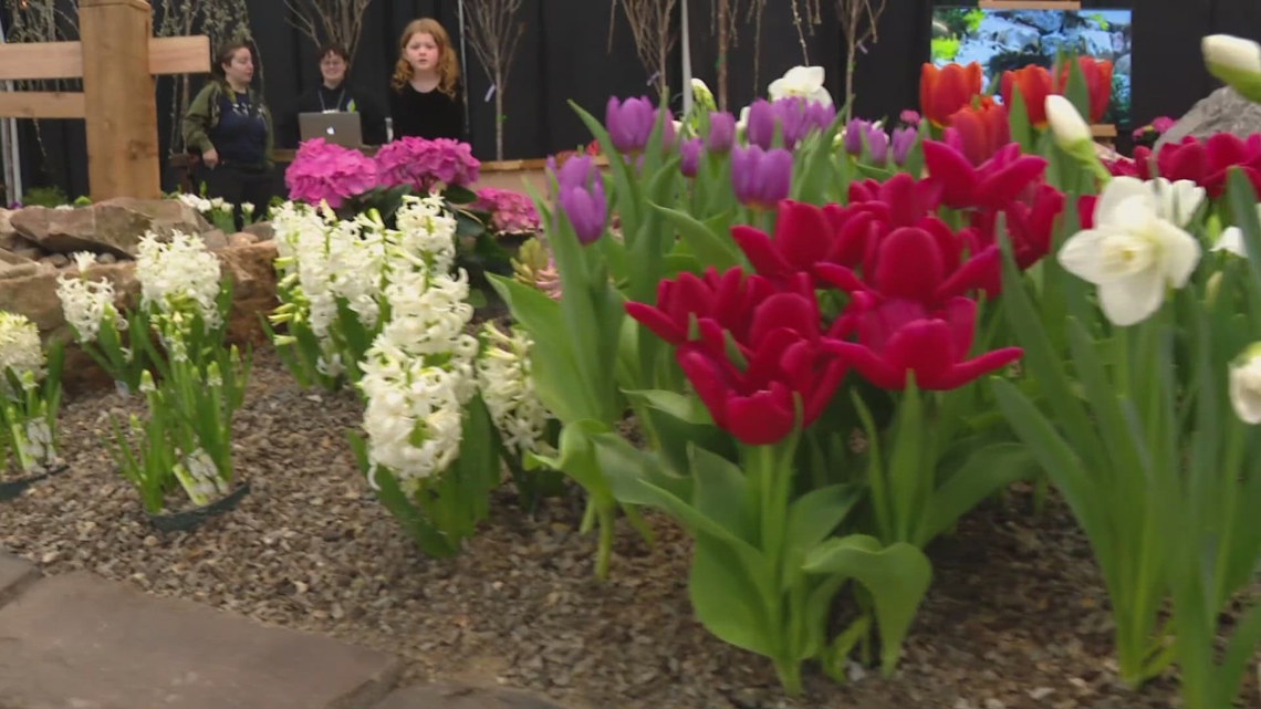Indiana Flower and Patio Show returns to fairgrounds | wthr.com