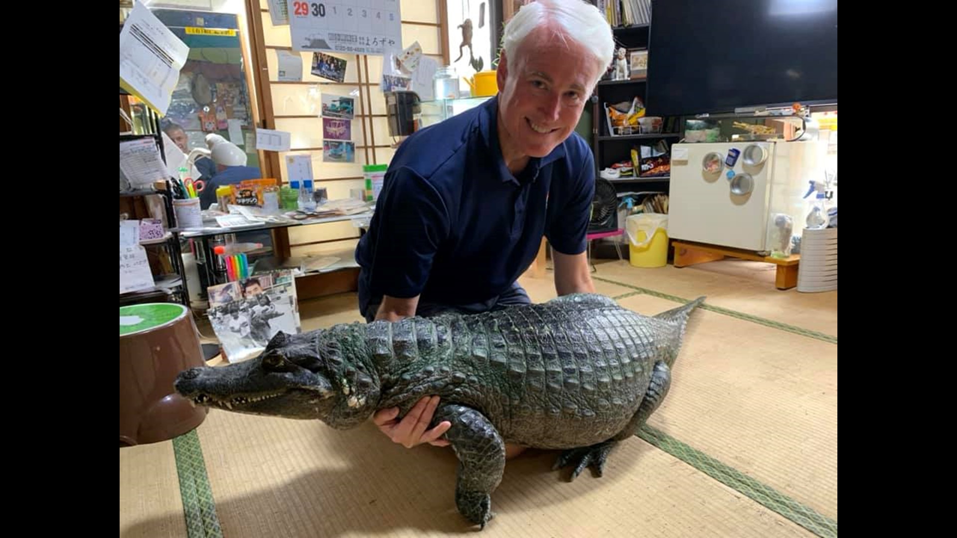 Meet Japan's 'Mr. Gator' and his eight foot alligator Cayman-kun | wthr.com