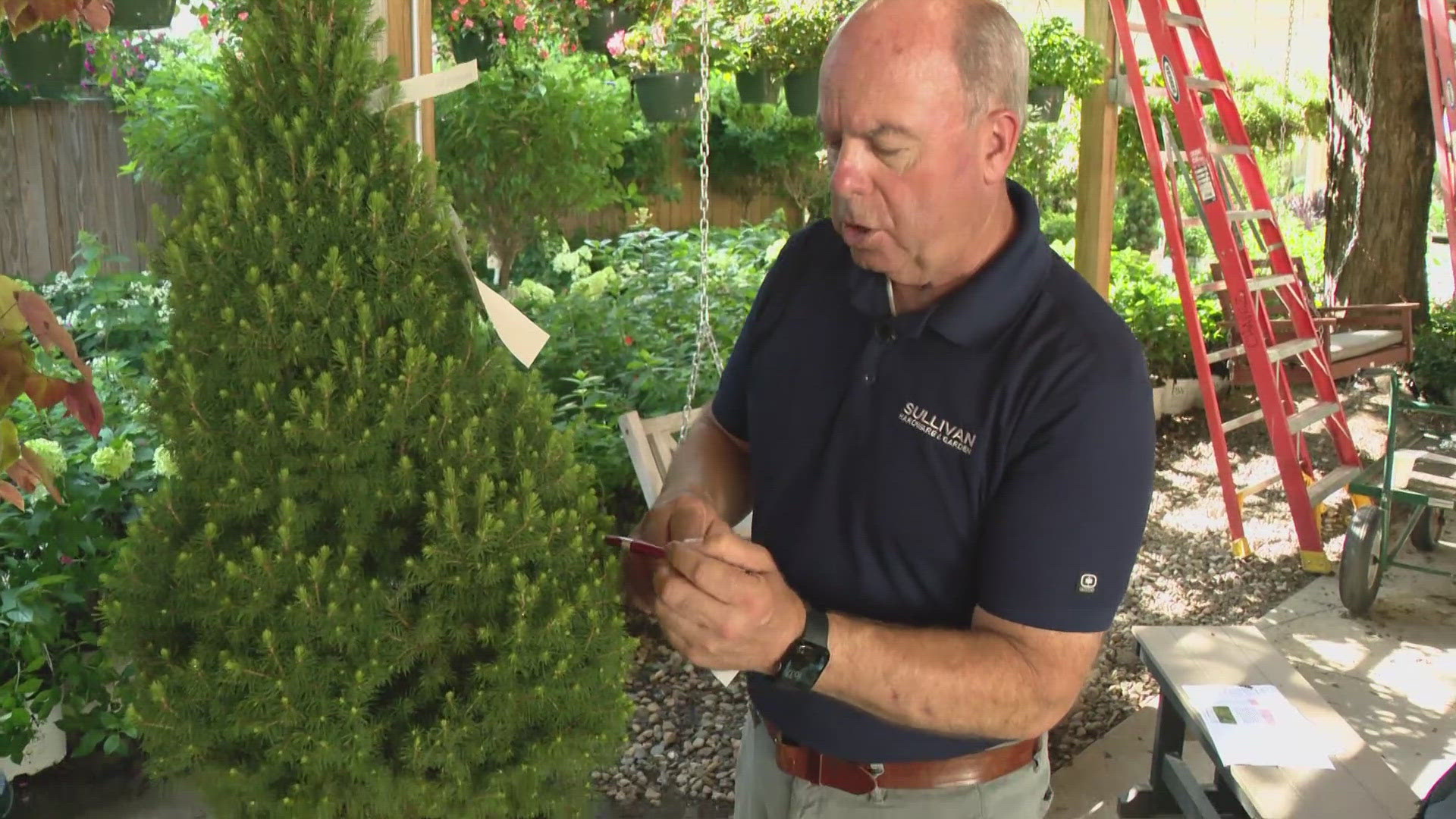 Home & Garden with Pat Sullivan: Pat answers viewer mail | wthr.com