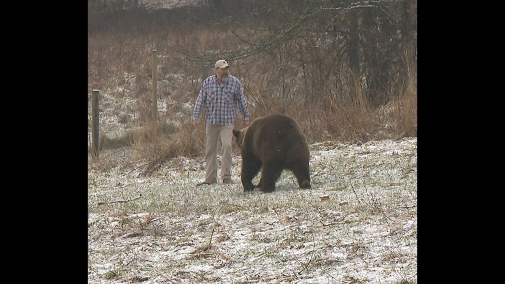 Indiana man's unusual career centers around 'grizzly' relationship ...