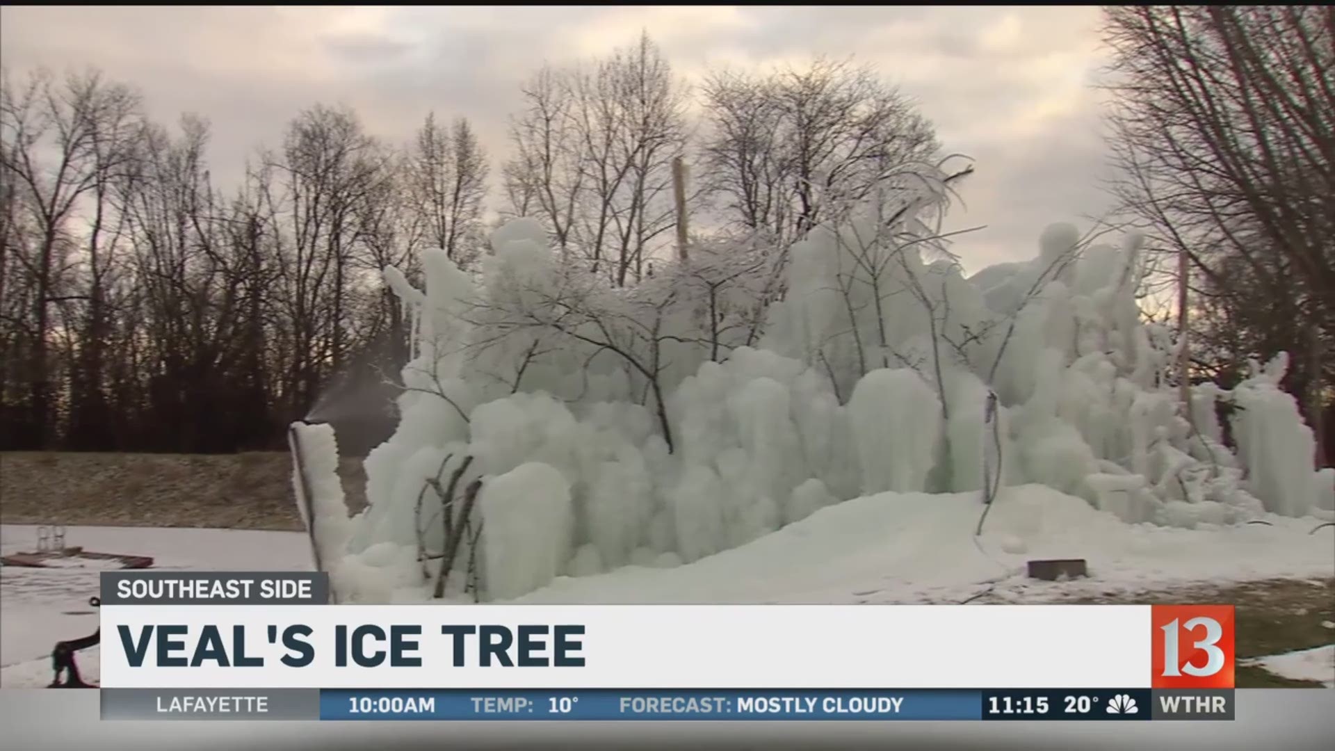 As blast of arctic air arrives, ice tree is 'in full bloom' on ...