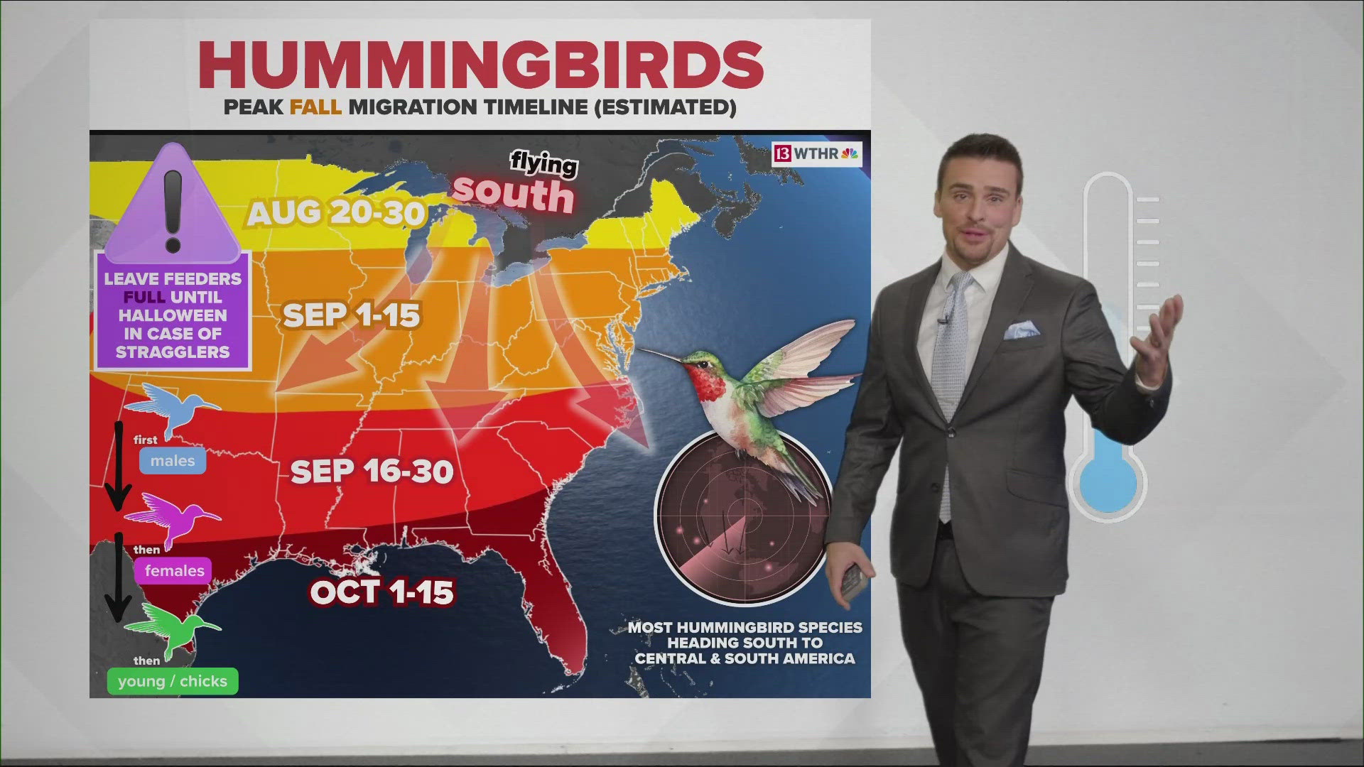 Peak hummingbird timeline: fueling up before heading south | wthr.com