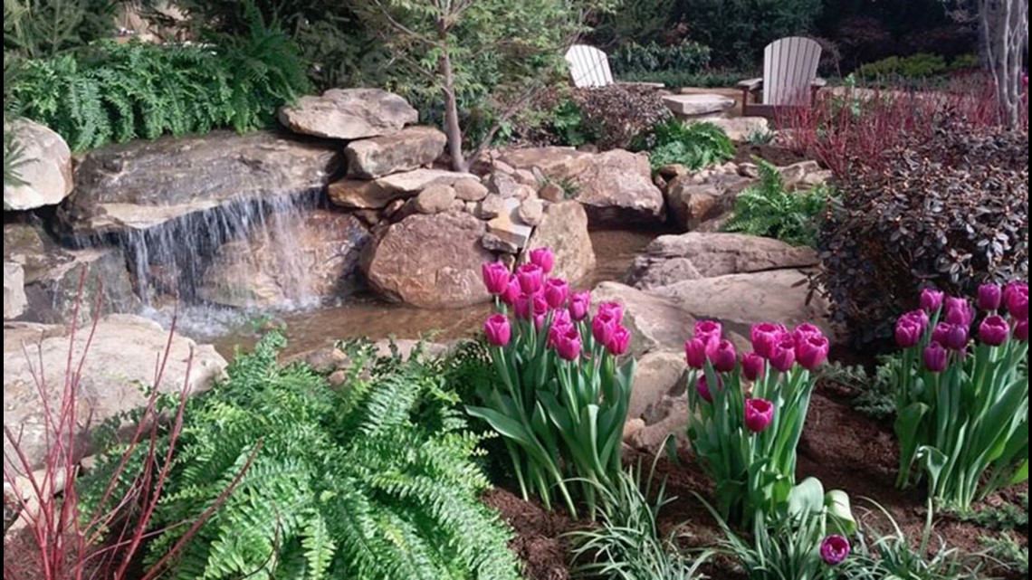 Dive into spring at the Indiana Flower & Patio Show | wthr.com