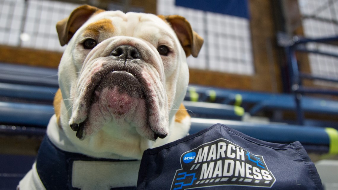 Butler Blue IV taking some time off after successful surgery | wthr.com