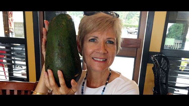'Big as my head': Hawaii woman seeks record for huge avocado | wthr.com