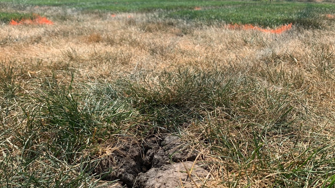 Purdue turf expert shares lawn care tips for extreme heat | wthr.com