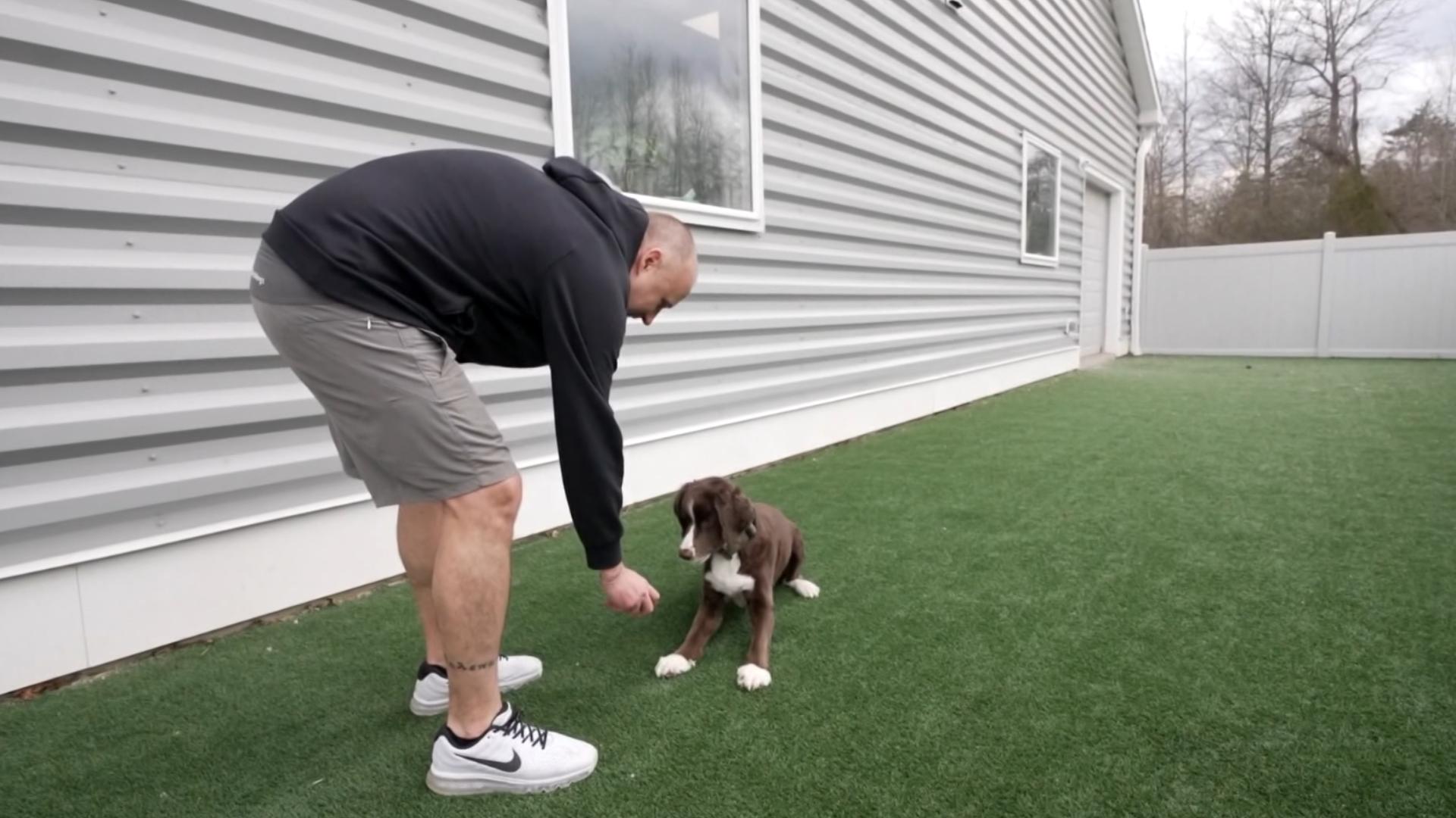 Pill that could extend your dog's life gets important FDA declaration ... Pill that could extend your dog's life gets important FDA declaration ...