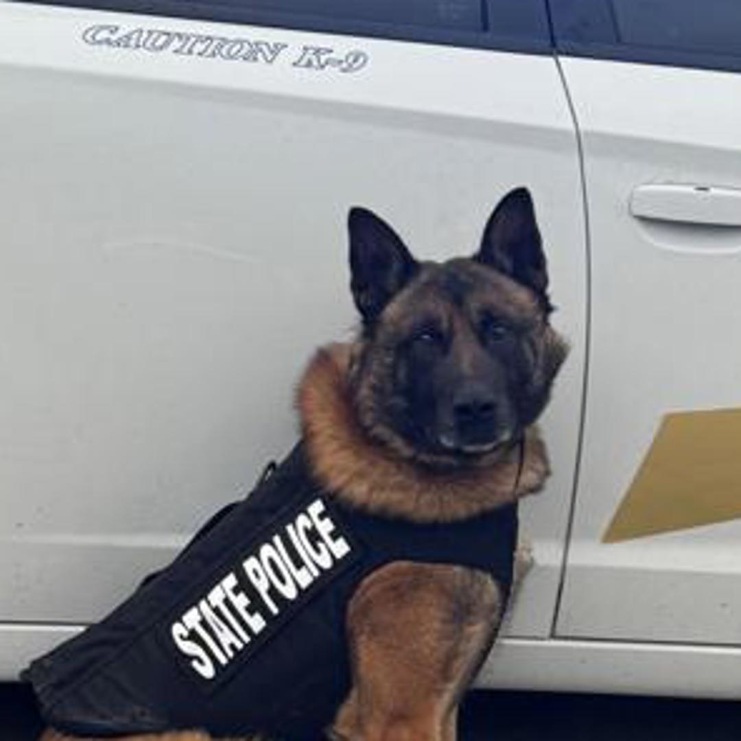 Indiana State Police announce passing of K-9 officer | wthr.com