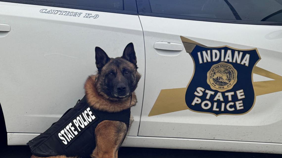 Indiana State Police announce passing of K-9 officer | wthr.com