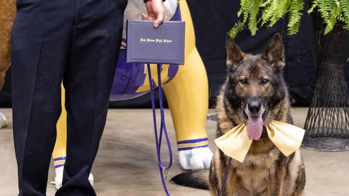 'Rest easy, Archie' | Northern Indiana police department announces ...