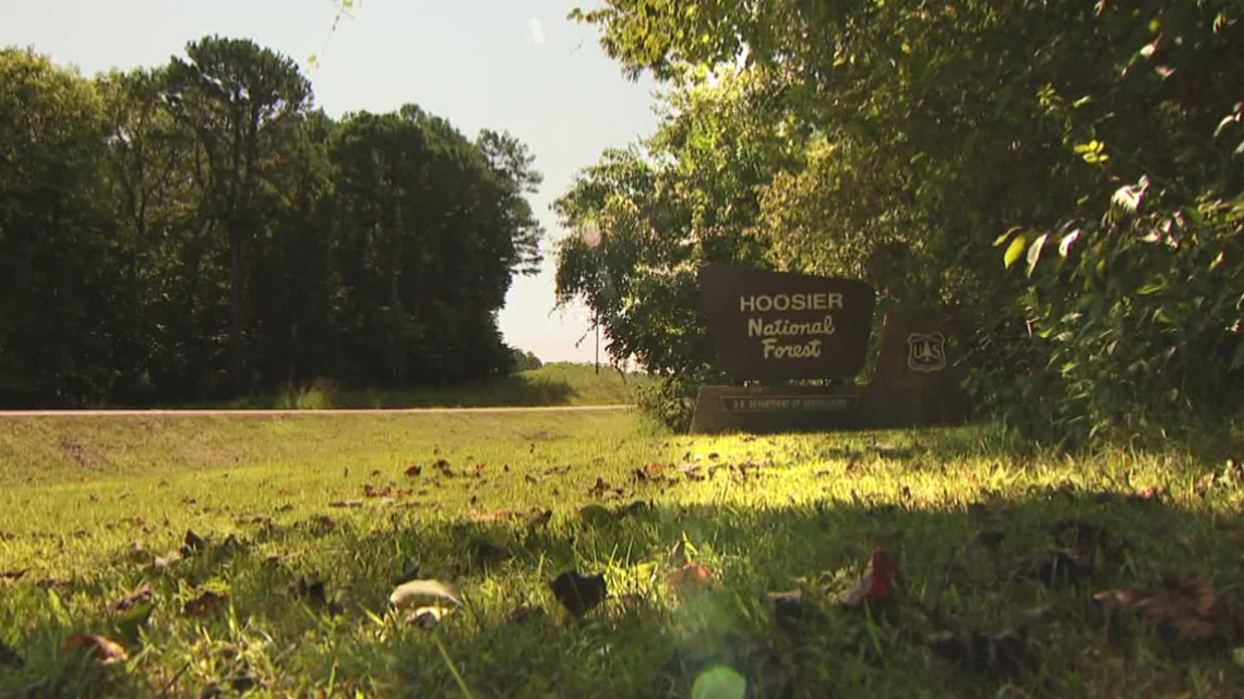 Black bear sightings on the rise in Indiana | wthr.com