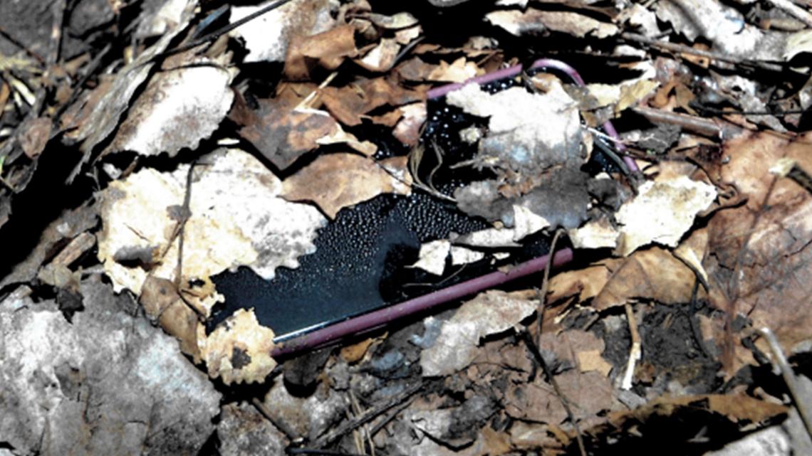 Carroll Co. prosecutor releases 3 new photos from Delphi crime scene ...