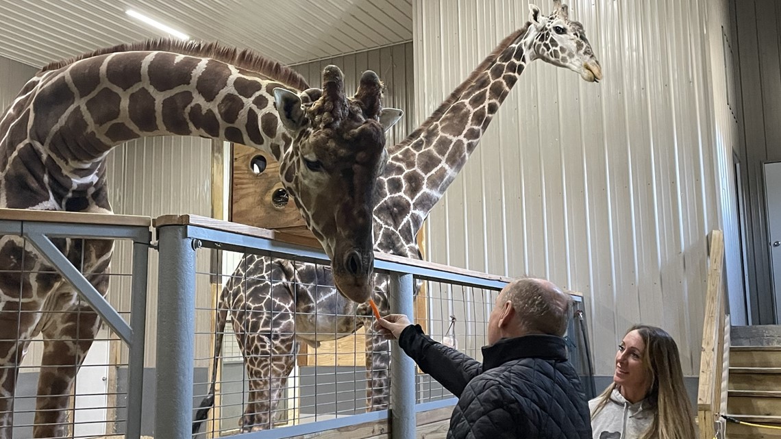 Chuck's Big Adventure: Wilstem Wildlife Park, Bonge's Tavern | wthr.com