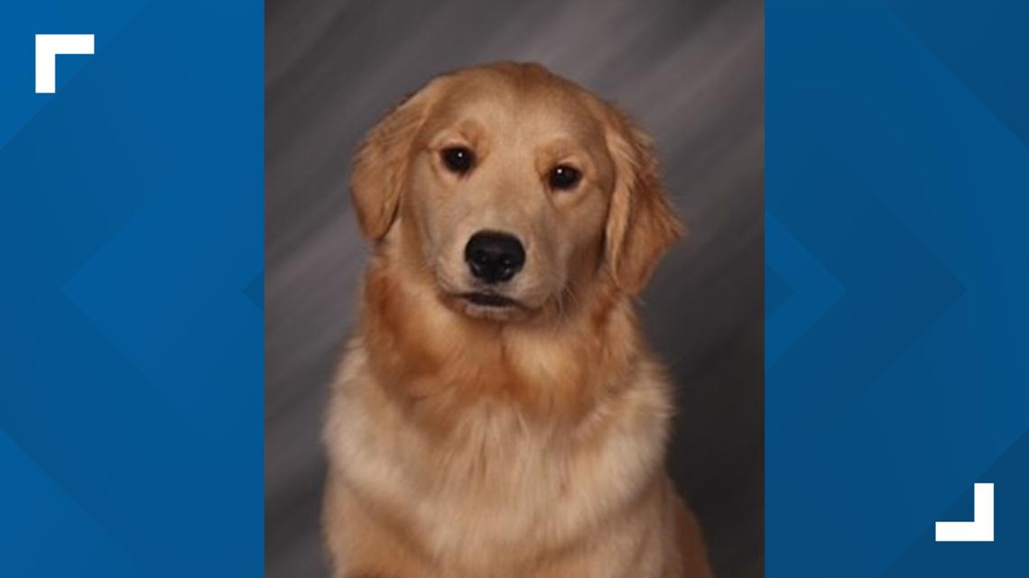 IMPD hosts swearing-in ceremony for new therapy dog | wthr.com